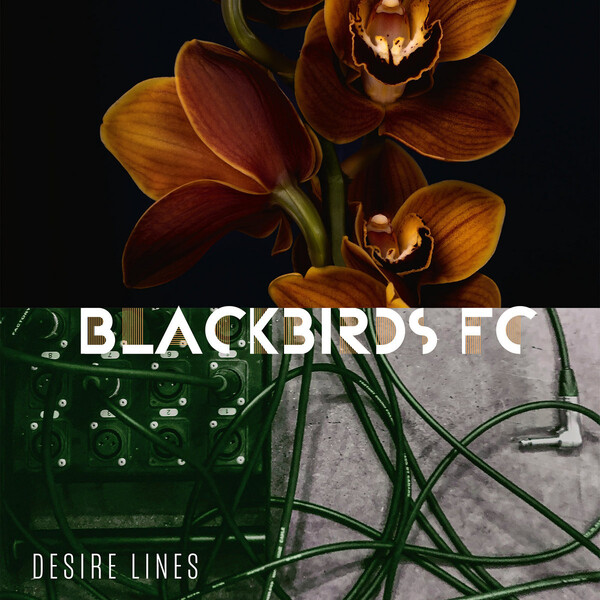 Desire Lines by Blackbirds FC (Album): Reviews, Ratings, Credits, Song ...