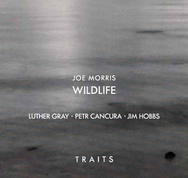 Traits by Joe Morris Wildlife (Album): Reviews, Ratings, Credits, Song ...