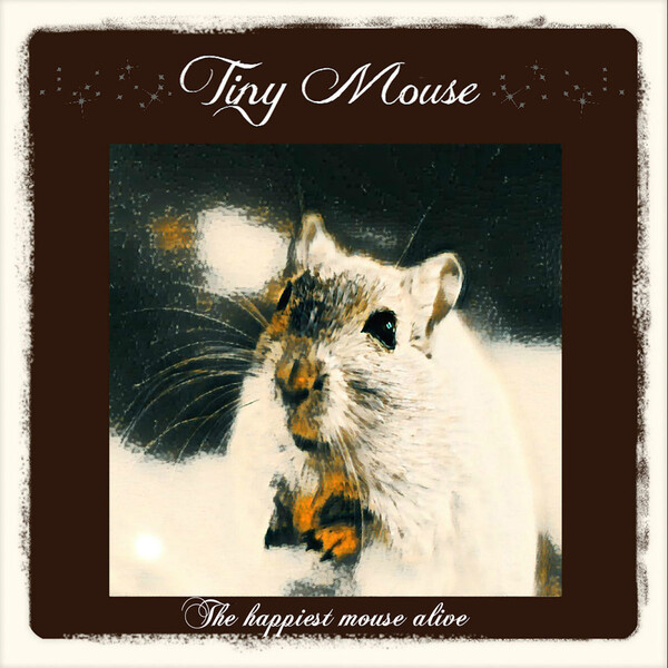 Tiny Mouse Albums: songs, discography, biography, and listening guide ...