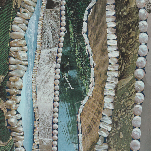 Creek Drift Mosaic: A Field Guide to Southern Cosmic by Various Artists ...