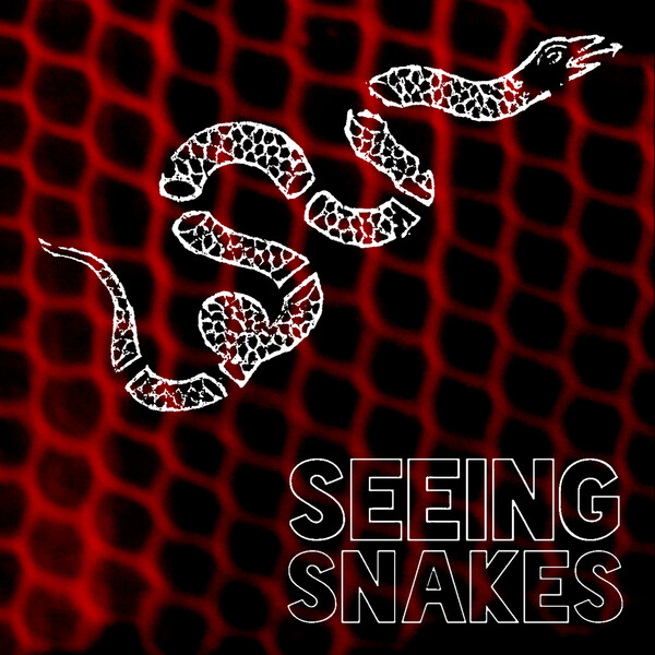 Lemon Party / Always Leave a Note by Seeing Snakes (Single): Reviews ...