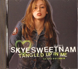 Tangled Up in Me by Skye Sweetnam (Single, Teen Pop): Reviews, Ratings ...