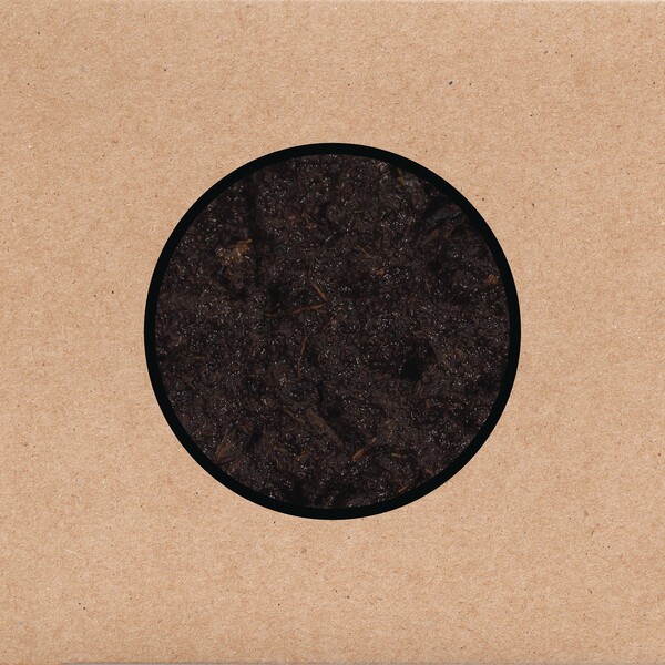 I Am a Tower by Swans (Single, Post-Rock): Reviews, Ratings, Credits ...