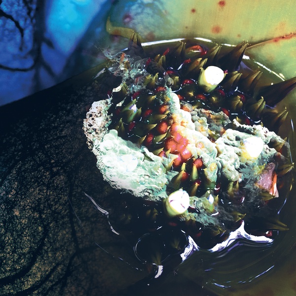 Jules Reidy Albums: songs, discography, biography, and listening guide ...