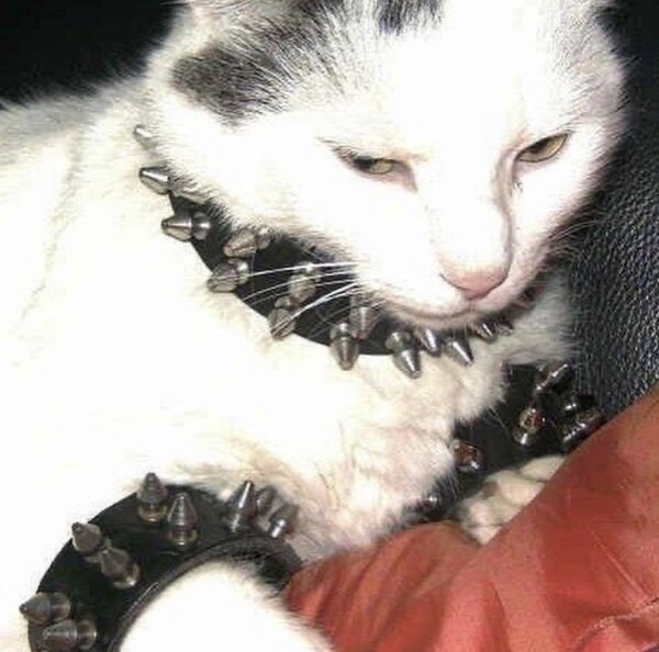 Evil shadow skull - Rate Your Music