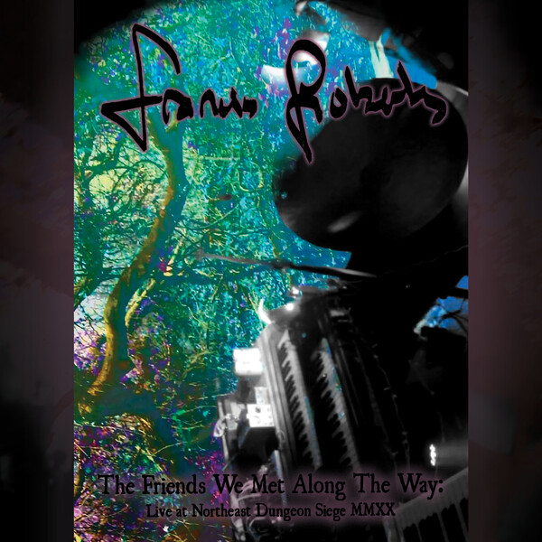 The Friends You Met Along the Way: Live at the Northeast Sungeon Siege ...