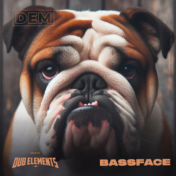 Bassface by Dub Elements (Single): Reviews, Ratings, Credits, Song list ...