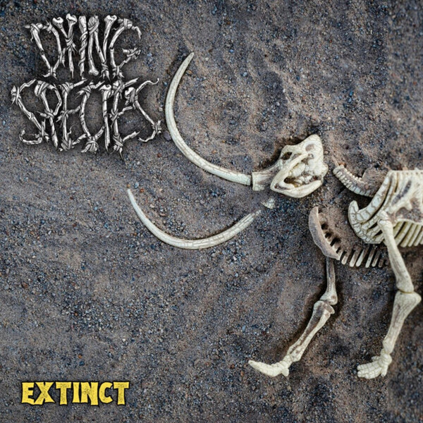 Extinct by Dying Species (Album): Reviews, Ratings, Credits, Song list ...