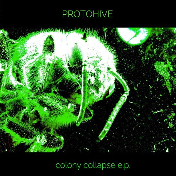 Protohive Albums: songs, discography, biography, and listening guide - Rate Your Music