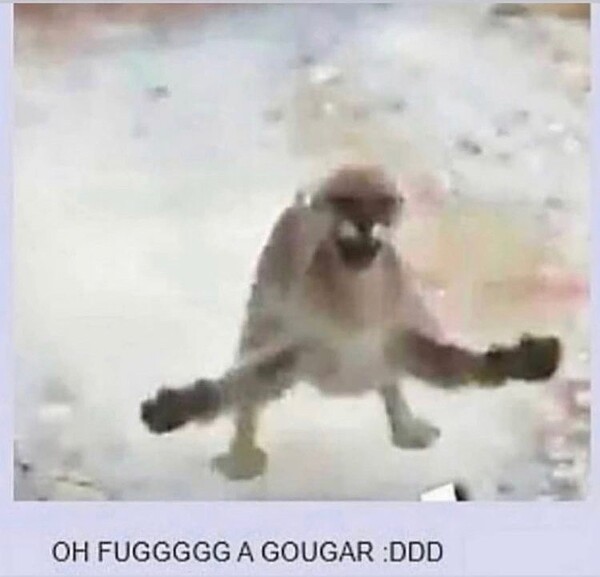 MERZ-CORE: the official merzbun canon (2026) [Page 10] - Rate Your Music