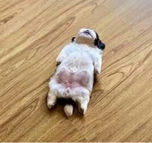 The Greatest Live Albums of All Time [Page 3] - Rate Your Music