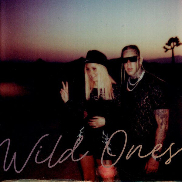 Wild Ones by Nova Rockafeller & Tom MacDonald (Album, Country Pop): Reviews, Ratings, Credits ...