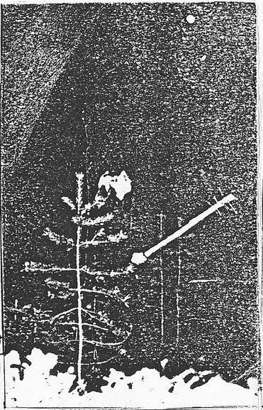 Wintermoon Albums: songs, discography, biography, and listening guide ...