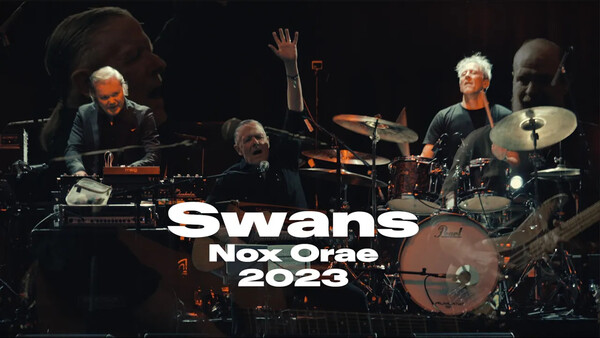 Swans Albums: songs, discography, biography, and listening guide - Rate ...