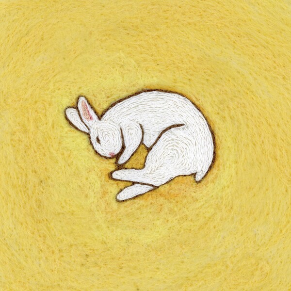 Death of a Rabbit by Your Arms Are My Cocoon (Album, Midwest Emo ...