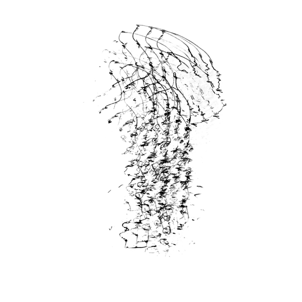 Music in Similar Motion; Music in Fifths by Philip Glass / Jon Gibson ...