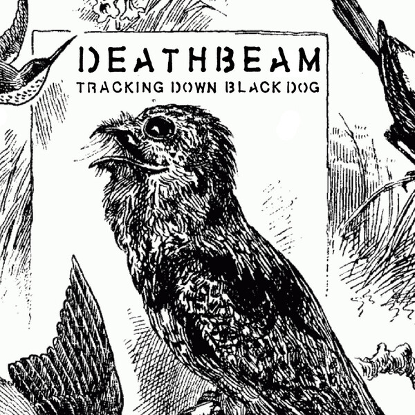 Tracking Down Black Dog by Deathbeam (EP): Reviews, Ratings, Credits ...