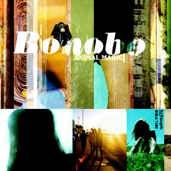 Animal Magic by Bonobo (Album, Downtempo): Reviews, Ratings, Credits ...