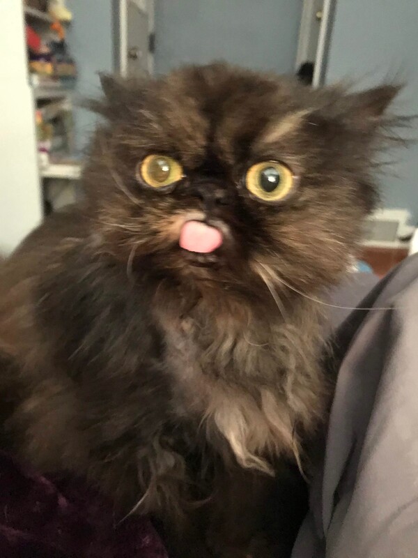 "that looks cool. i'll listen to it later" - Rate Your Music