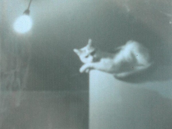 Space Argument by Popular Radiation (Album): Reviews, Ratings, Credits ...