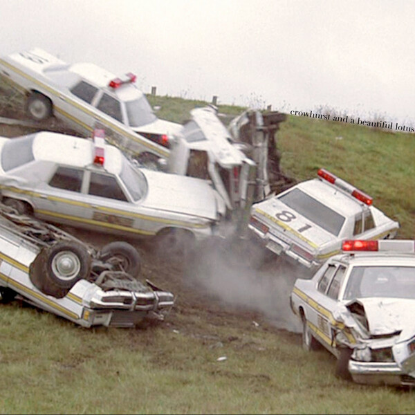 Crowhurst and A Beautiful Lotus by Crowhurst (Album): Reviews, Ratings ...