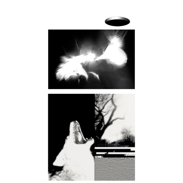 sonder Albums: songs, discography, biography, and listening guide ...