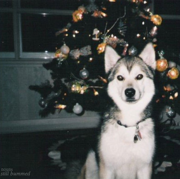 nouns Albums: songs, discography, biography, and listening guide - Rate ...