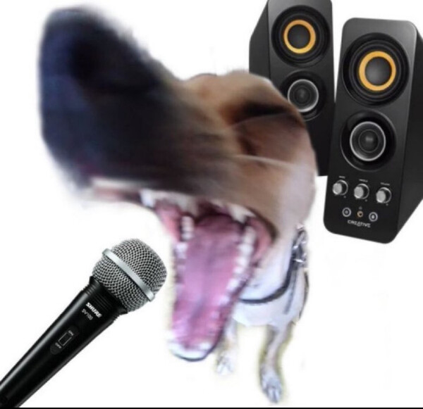 2026 Daily Albums - Rate Your Music