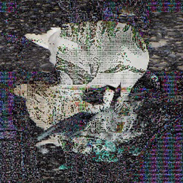 Death Grips by Death Grips (EP, Industrial Hip Hop): Reviews, Ratings ...