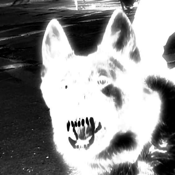 Escobar by iso 3G (Single; n/a; n/a): Reviews, Ratings, Credits, Song ...