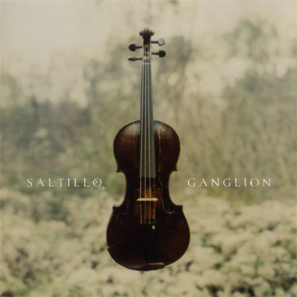 Ganglion by Saltillo (Album; Artoffact; AOF161): Reviews, Ratings ...