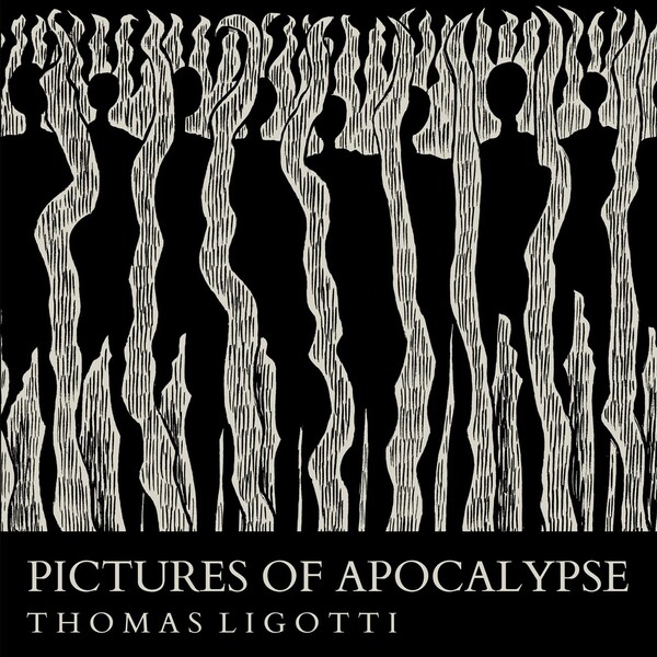 Thomas Ligotti: Pictures of the Apocalypse [grey with white smoke] by ...