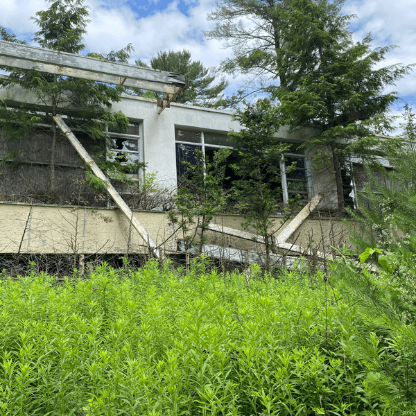 flyingfish Albums: songs, discography, biography, and listening guide ...