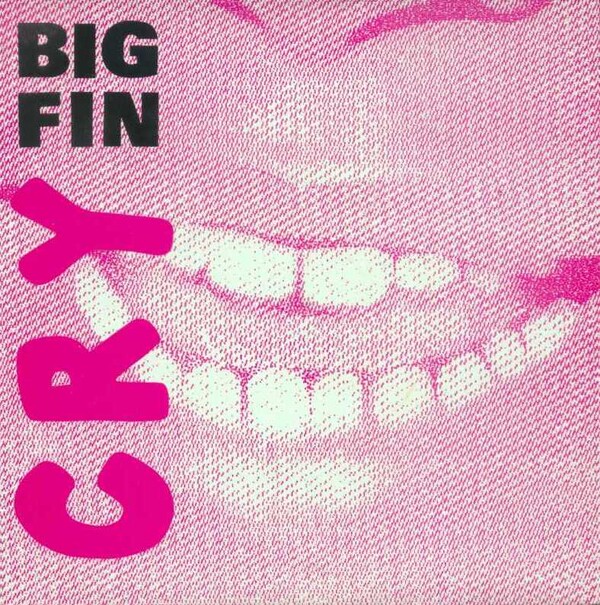 Cry / Honey From the Spoon by Big Fin (Single): Reviews, Ratings ...