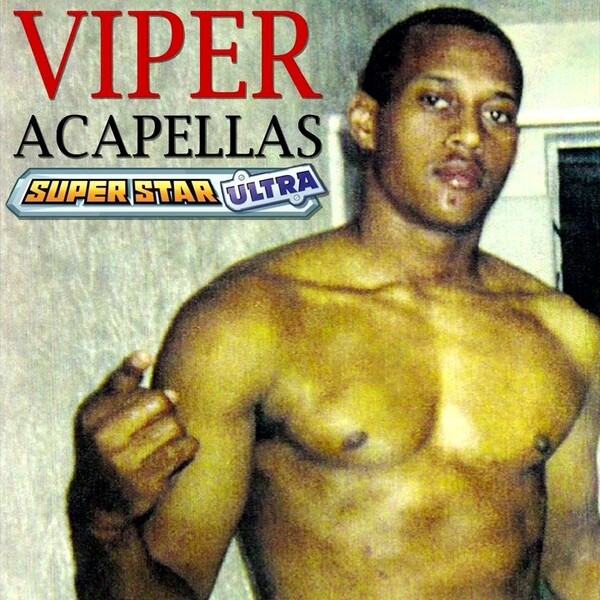 Acapellas Super Star Ultra by Viper (Additional release, Southern Hip ...
