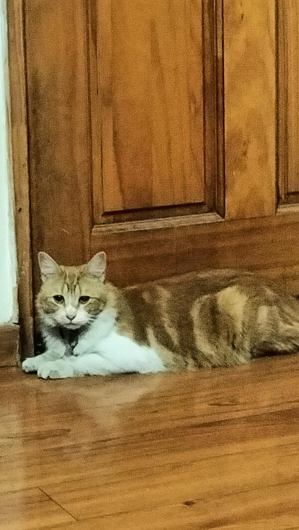 Profile: burckhardt29 - Rate Your Music