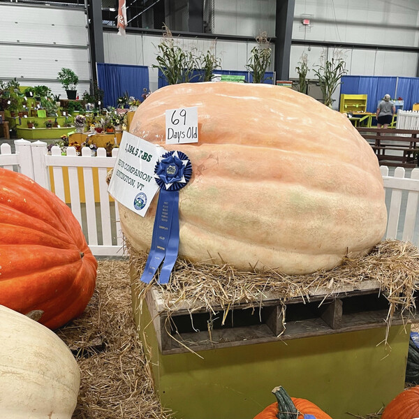 w≈7 by Wool See (Album): Reviews, Ratings, Credits, Song list - Rate ...