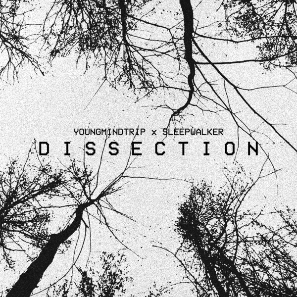 DISSECTION by Sleepwalker, youngmindtrip & DJ Lordmindtrip (Single, Emo ...
