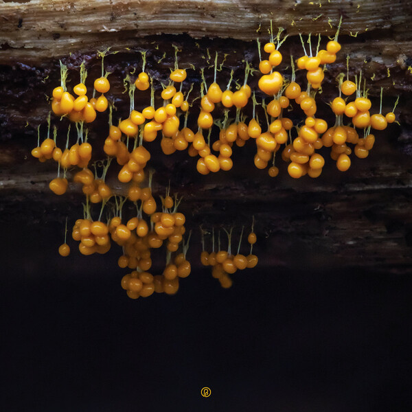 A New Landscape by Lav (Album, Ambient Techno): Reviews, Ratings ...