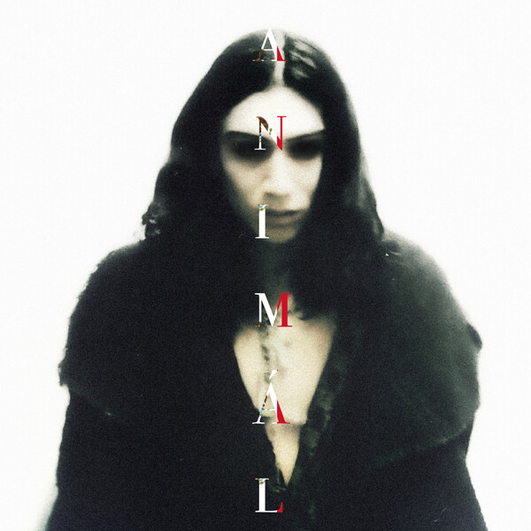 rommulas Albums: songs, discography, biography, and listening guide ...