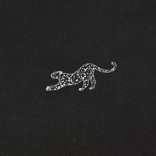 Coca Puma Albums: songs, discography, biography, and listening guide ...
