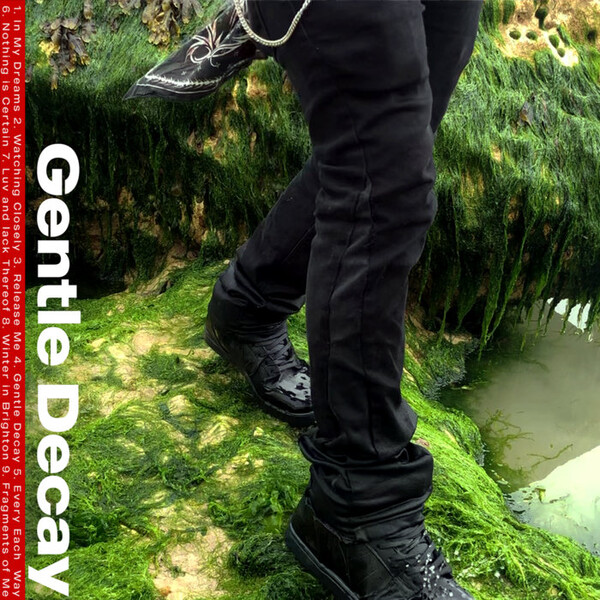 Gentle Decay by Florence Sinclair (Album, Instrumental Hip Hop ...