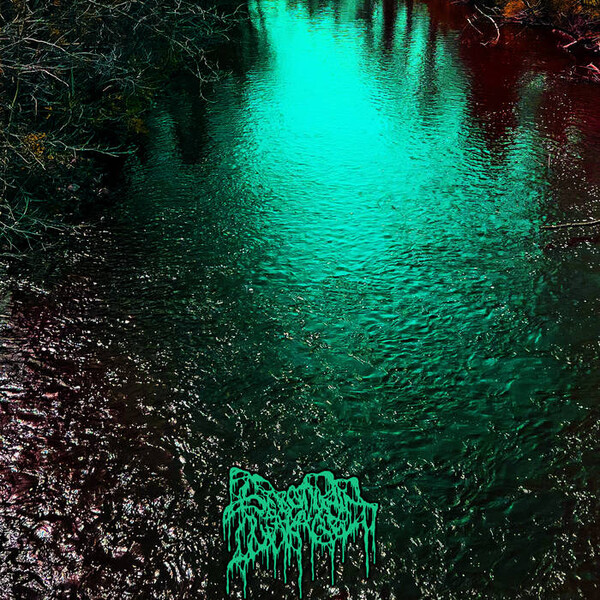 2C by Serotonin Leakage (Album, Black Metal): Reviews, Ratings, Credits ...