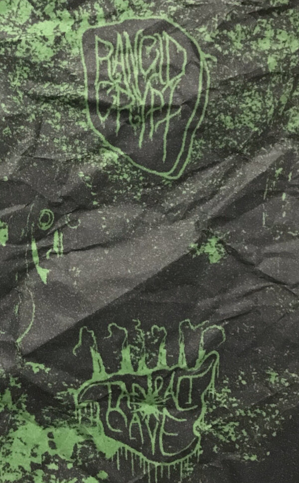 Taforalt Cave Albums: songs, discography, biography, and listening ...