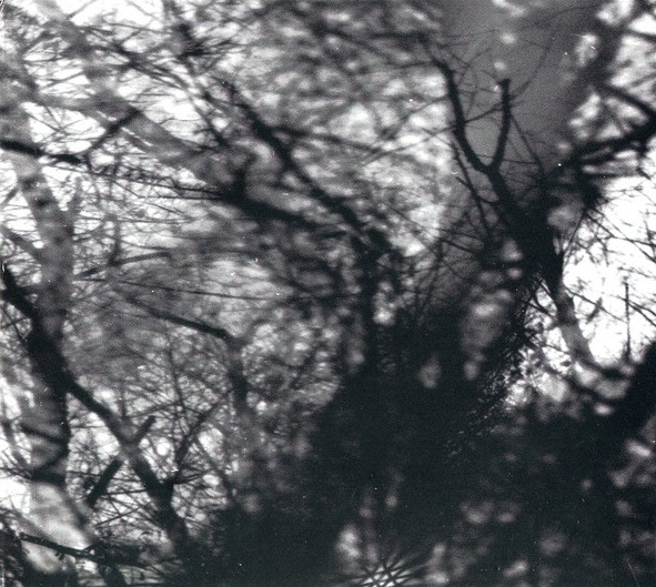 Way Their Crept by Grouper (Album, Ambient): Reviews, Ratings, Credits ...