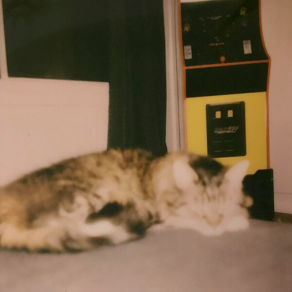 cat list - Rate Your Music