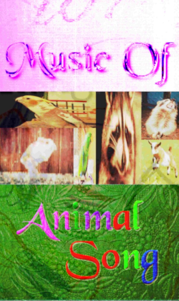 Lovely Animal Albums: songs, discography, biography, and listening ...