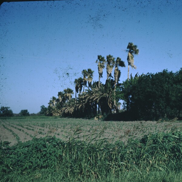 OdysseyIntroLiveTest by HOME (Single, Chillsynth): Reviews, Ratings ...