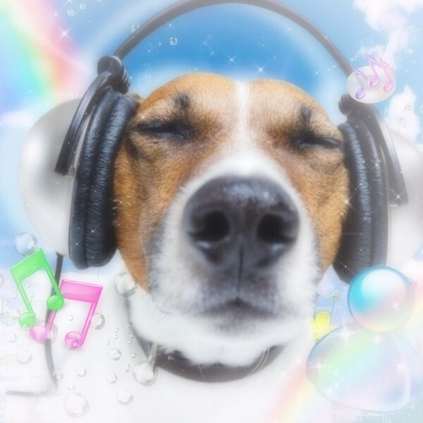 1 year later - Rate Your Music