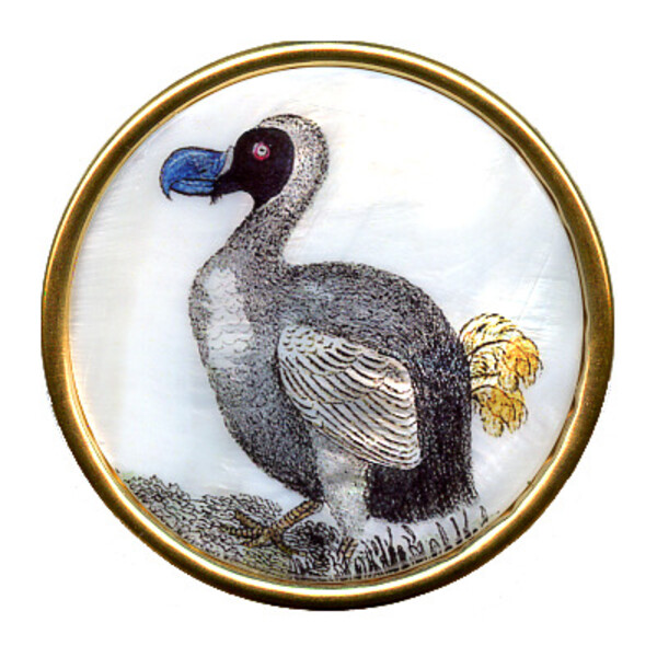 Dodo Bird Sounds by Snoop Diddily (Album, Comedy): Reviews, Ratings ...